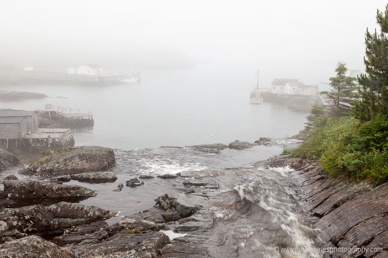 Newfoundland—Family, Fog and Bakeapples